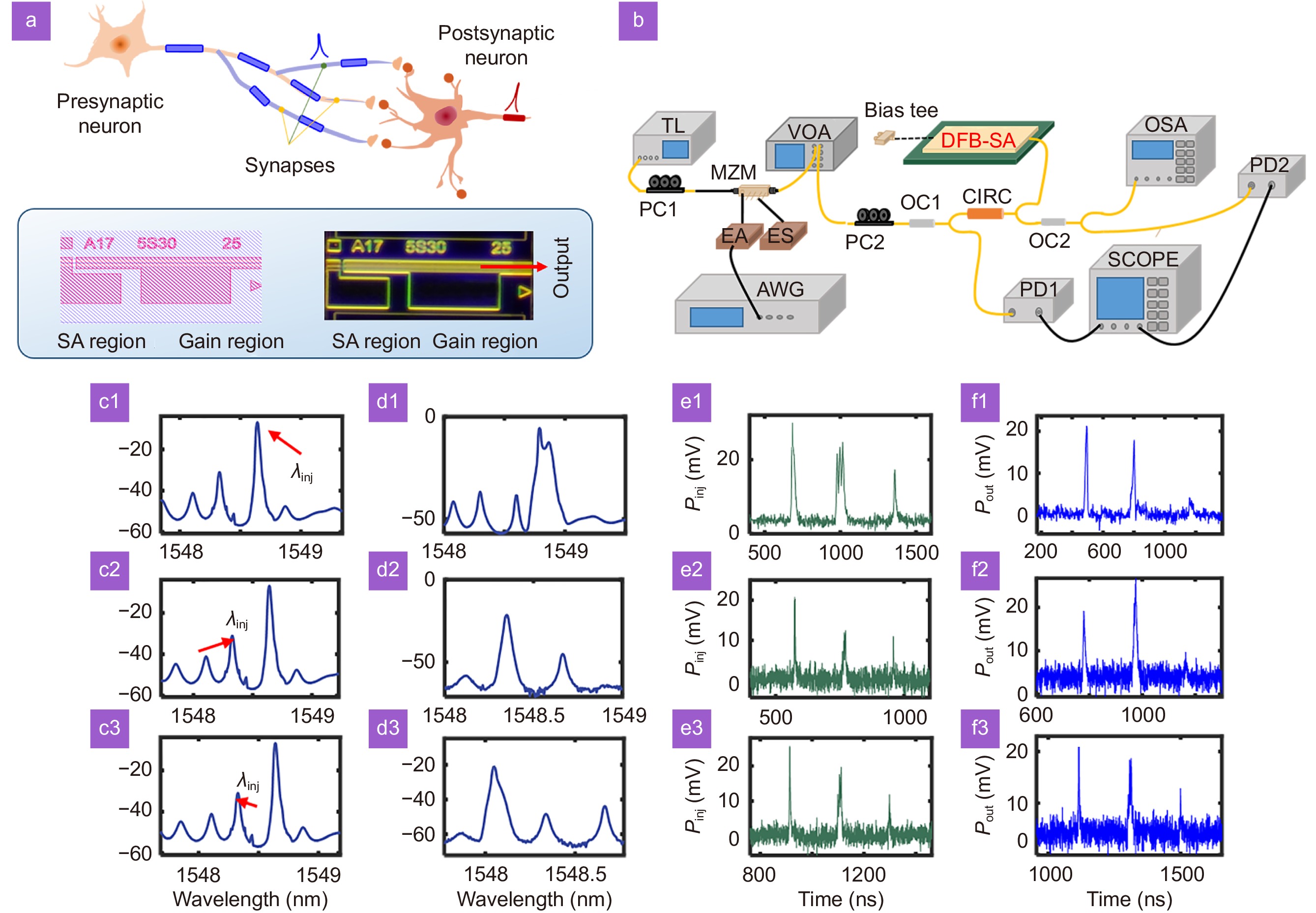 Hot Paper - Pattern recognition in multi-synaptic photonic spiking ... Hot Paper - Pattern recognition in multi-synaptic photonic spiking ...